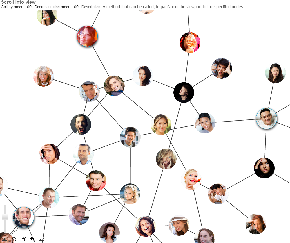 Scroll into view - ZoomCharts JS Gallery Demo Example