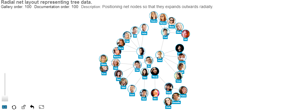 Radial net layout representing tree data - ZoomCharts JS Gallery Demo ...